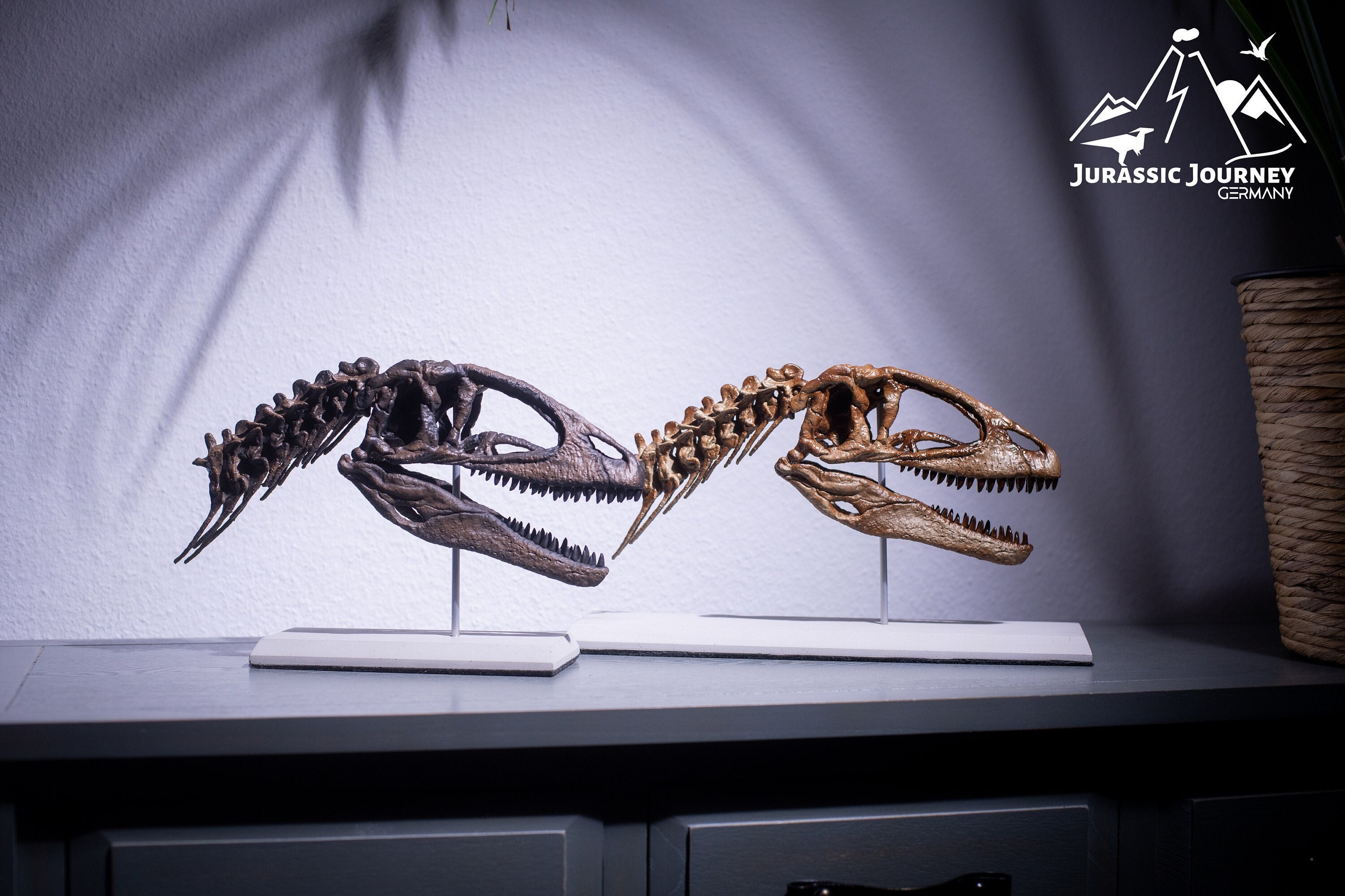 Carcharodontosaurus Skeleton