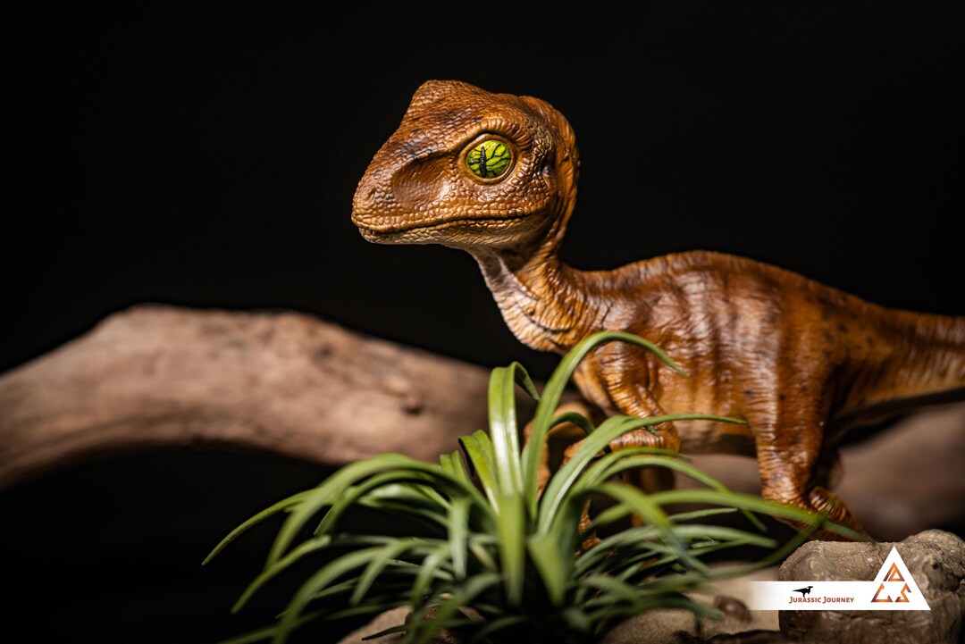Velociraptor Baby 1:1 Scale | Hunter Edition Dinosaur Statue With Sand ...