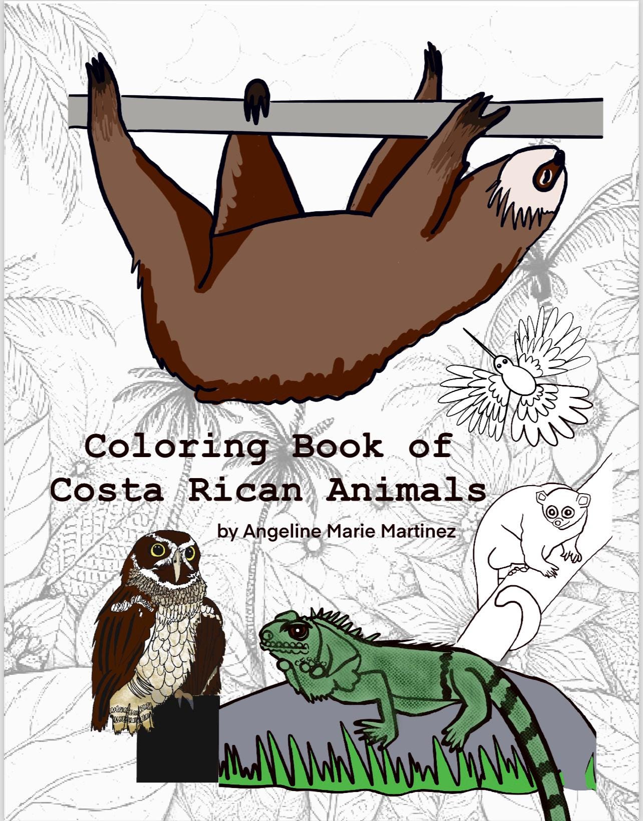Costa Rican Animals Coloring Book - 32 Tropical Wildlife Original Hand ...
