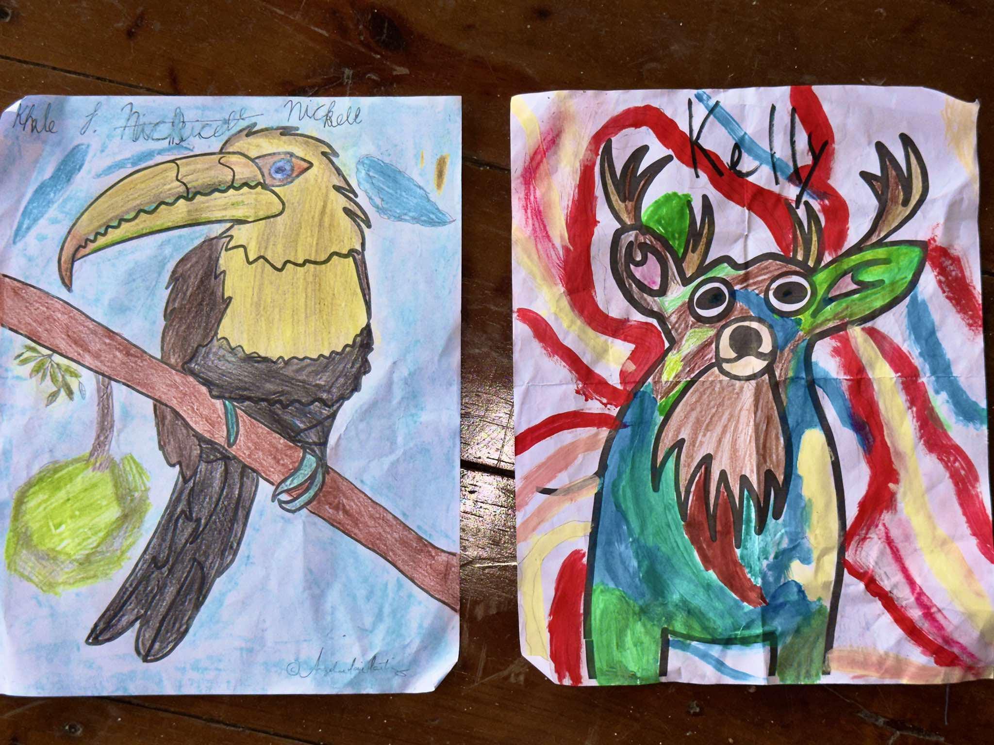 Costa Rican Animals Coloring Book - 32 Tropical Wildlife Original Hand ...