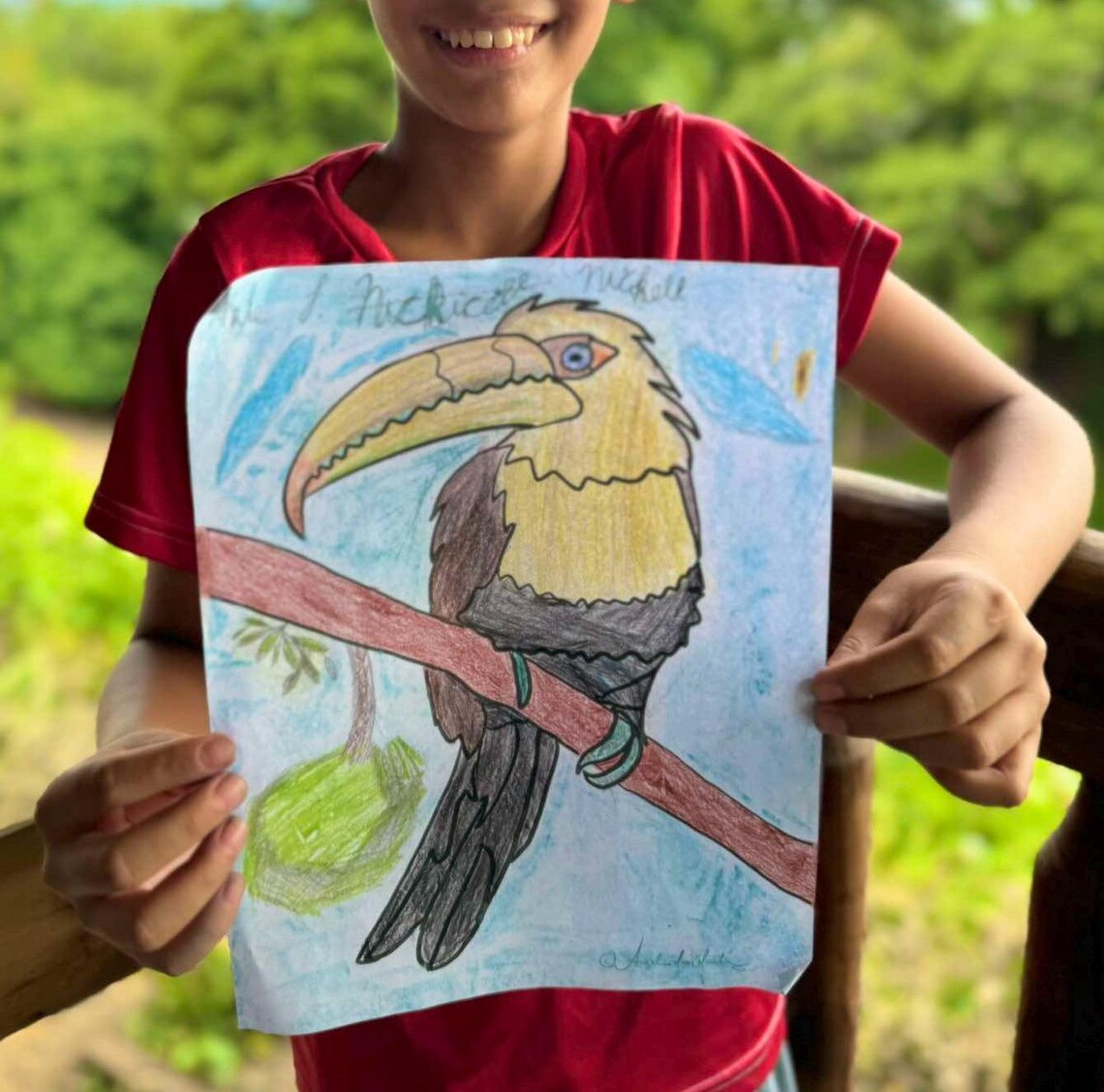 Costa Rican Animals Coloring Book - 32 Tropical Wildlife Original Hand ...