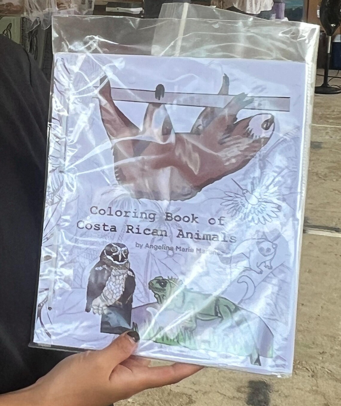 Costa Rican Animals Coloring Book - 32 Tropical Wildlife Original Hand ...