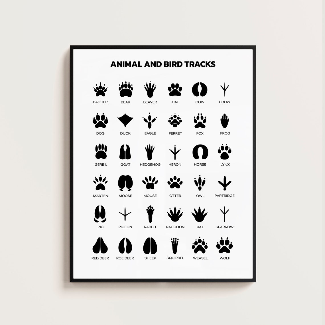 Animal and Bird Tracks Print - Animal Tracks Printable Poster Instant ...
