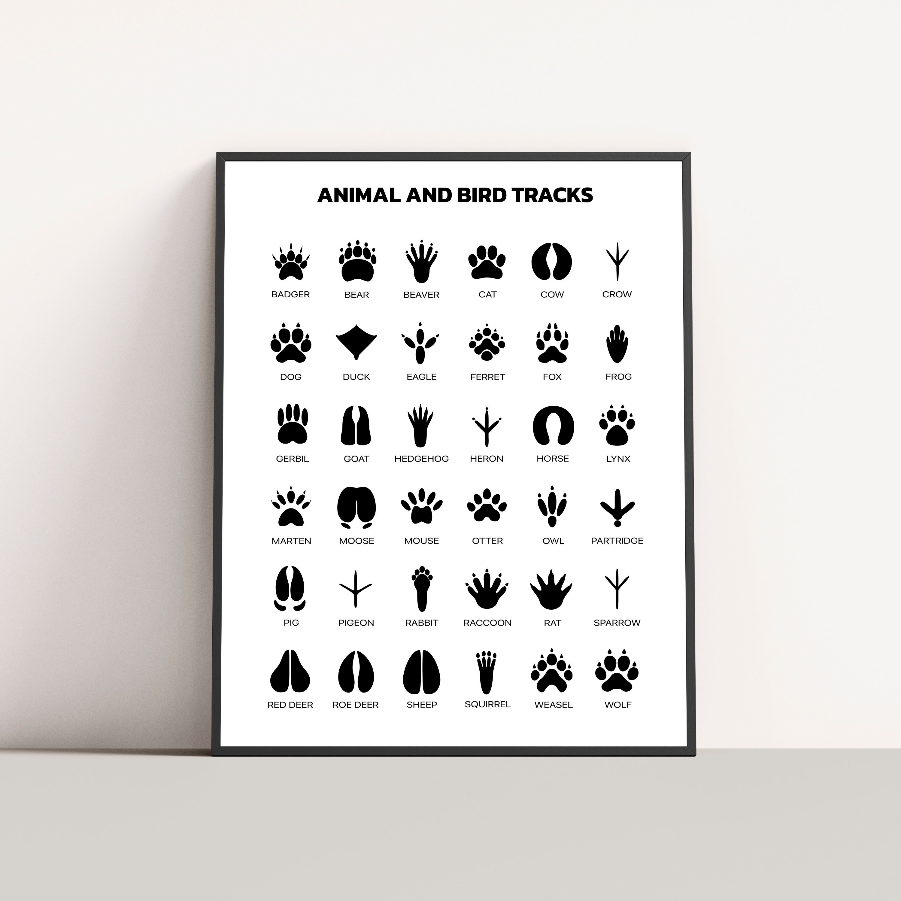 Animal and Bird Tracks Print - Animal Tracks Printable Poster Instant ...