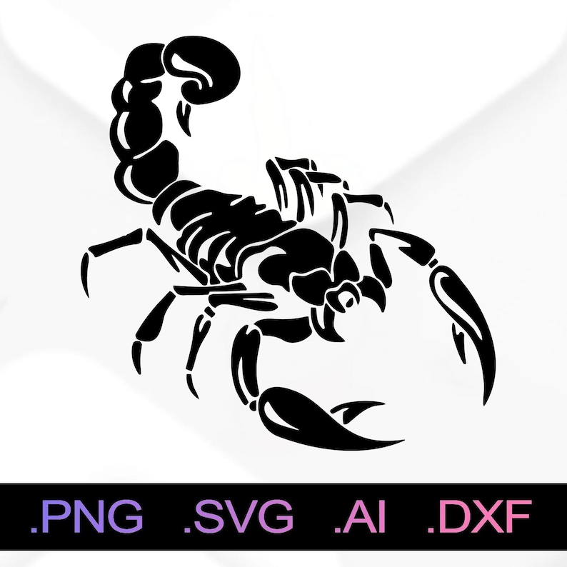 Scorpion SVG and PNG Files, Print SVG, Digital Download Cricut Cut ...