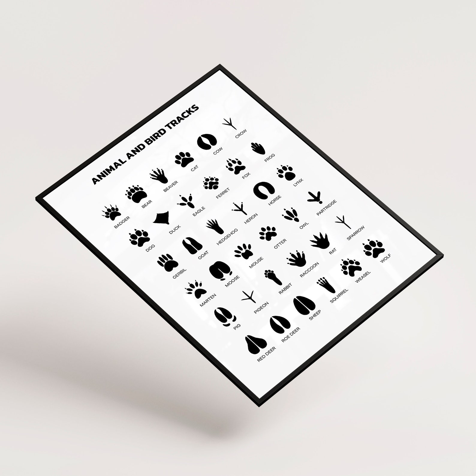 Animal and Bird Tracks Print - Animal Tracks Printable Poster Instant ...