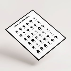 Animal and Bird Tracks Print - Animal Tracks Printable Poster Instant ...