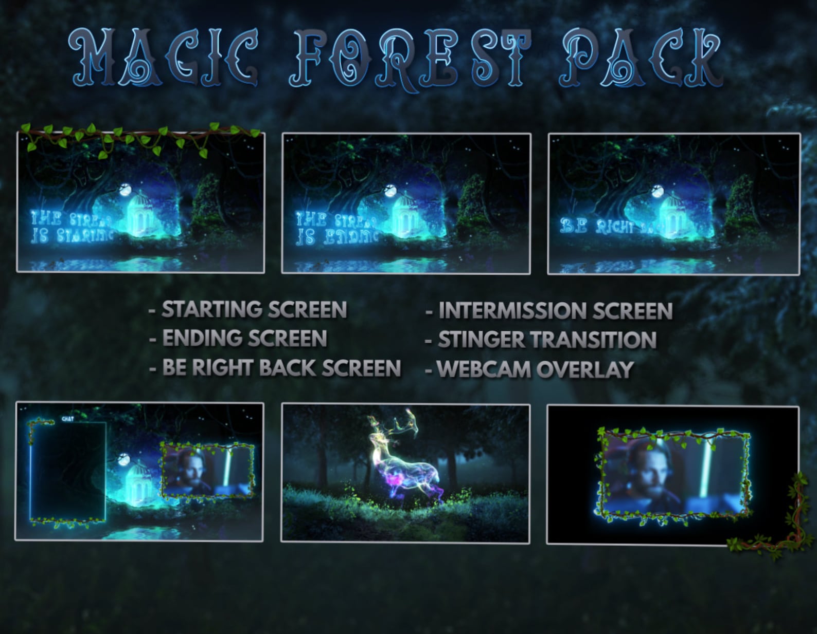 Twitch Magic Forest Screens Pack Overlay Twitch Package - Etsy