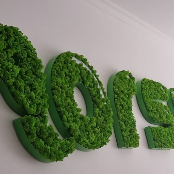 Moss Letters - Etsy