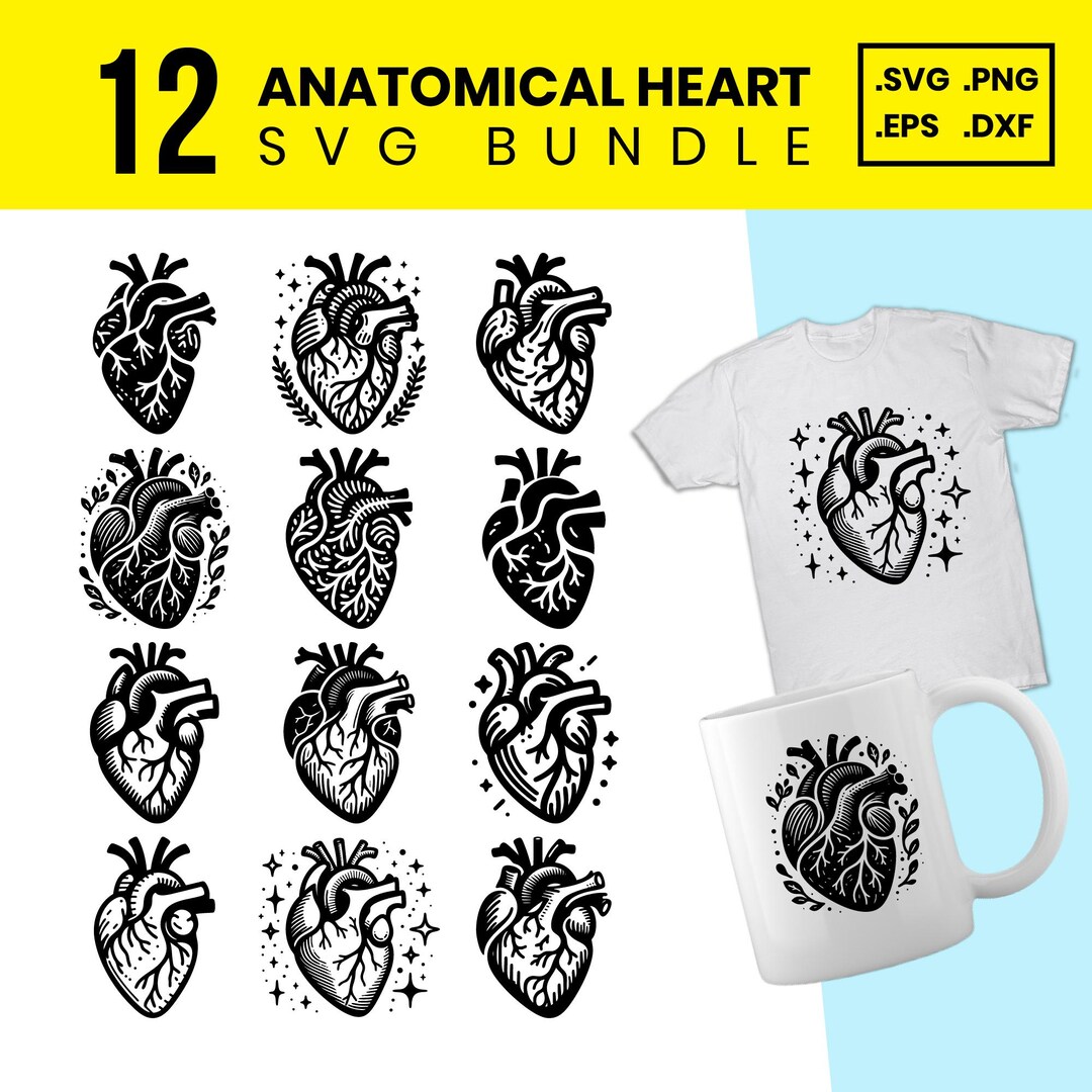 12 Anatomical Heart SVG Bundle: Human Heart Clipart, Medical Cut Files ...