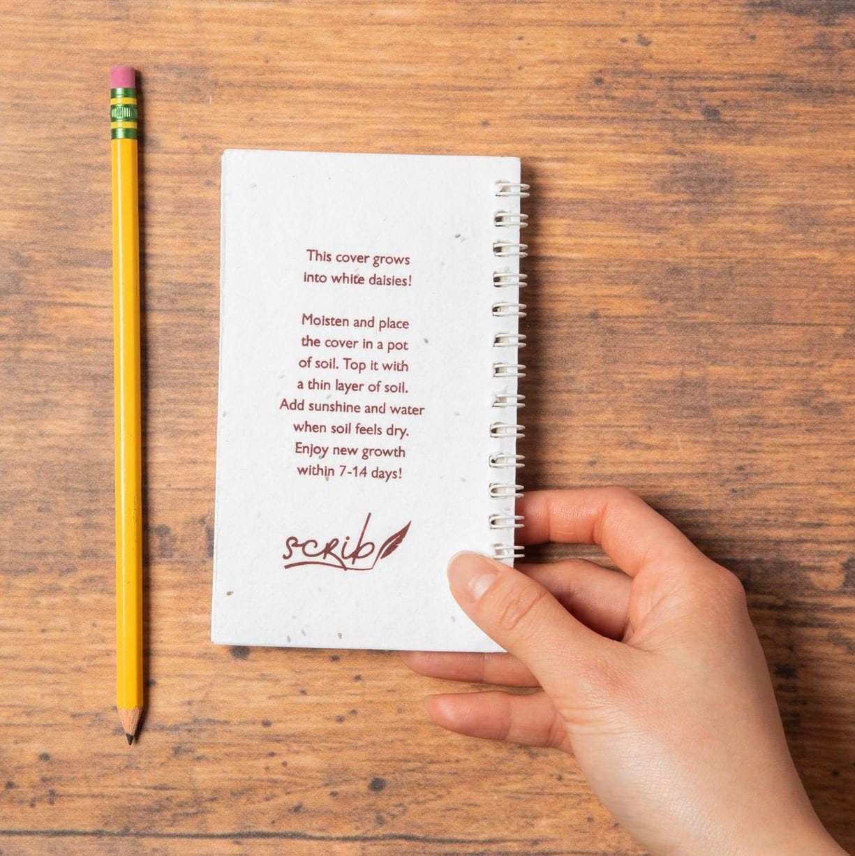 Pocket Notebooks With Seed Paper Covers for Planting - 3 Pack Mini ...