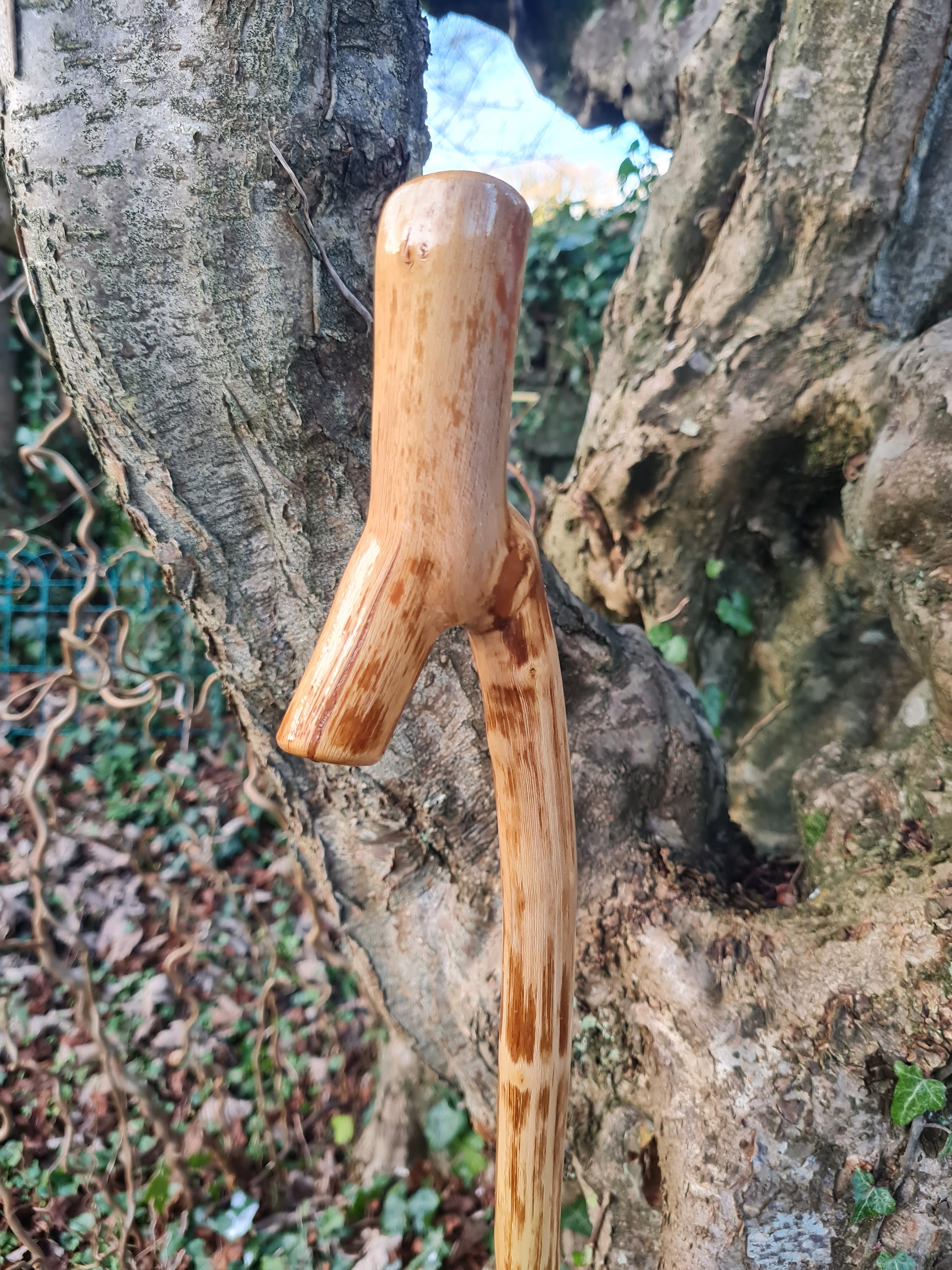 Varnished Rosewood Staff - Etsy UK