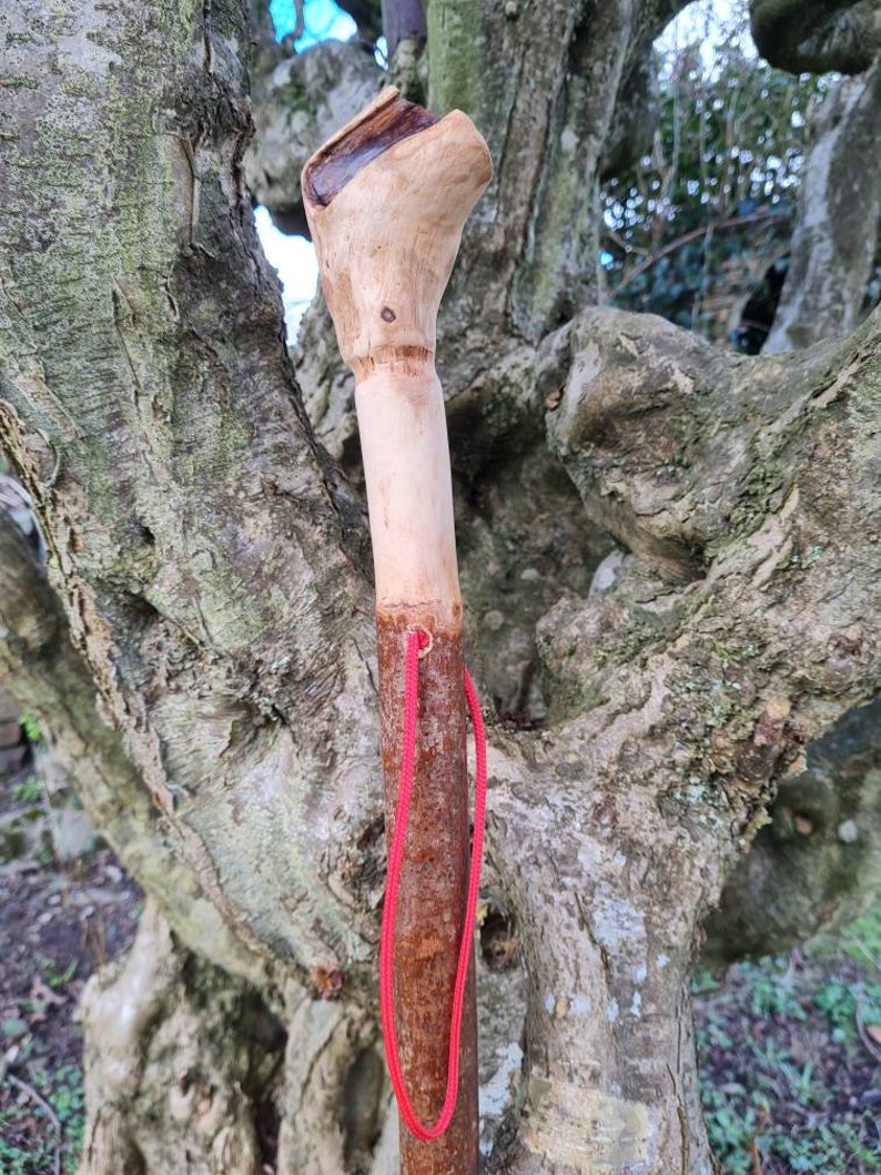 Hazel Staff With Stripped Handle and Red Cord Wrist Strap - Etsy UK