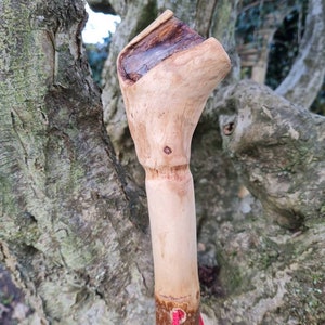 Hazel Staff With Stripped Handle and Red Cord Wrist Strap - Etsy UK