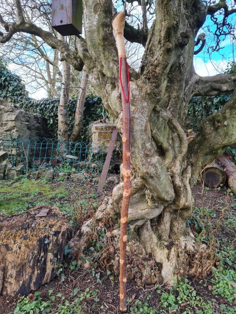 Hazel Staff With Stripped Handle and Red Cord Wrist Strap - Etsy