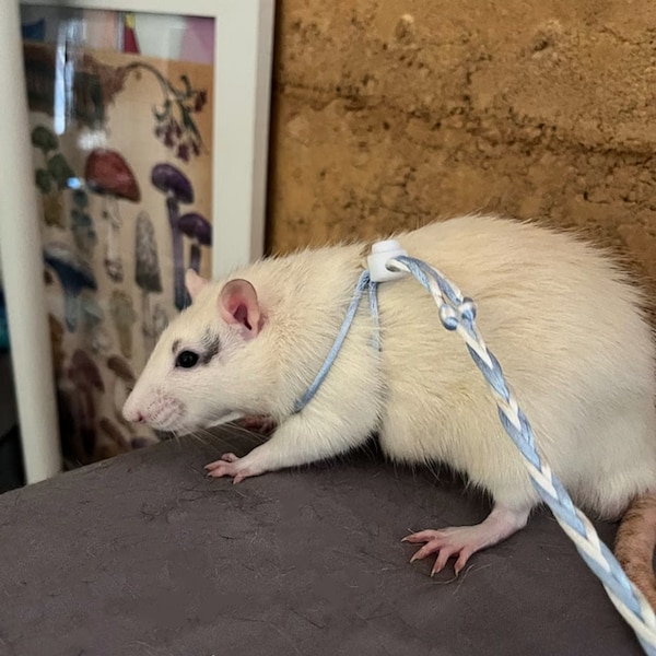 Rabbit Harness - Etsy