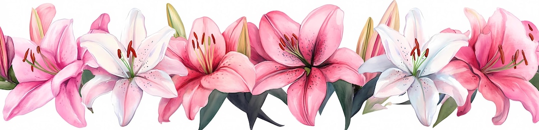 7 Lily Flower Border Clipart, Watercolor Lily Frame Clipart, Lily ...