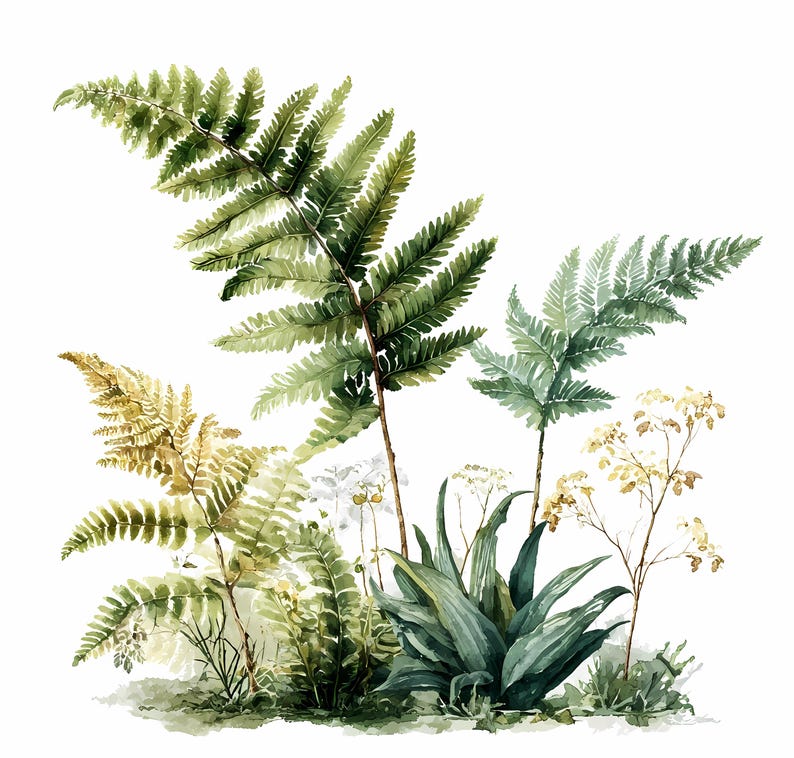 Watercolor Fern Botanical Clipart Bundle Set of 16 for DIY Projects and ...