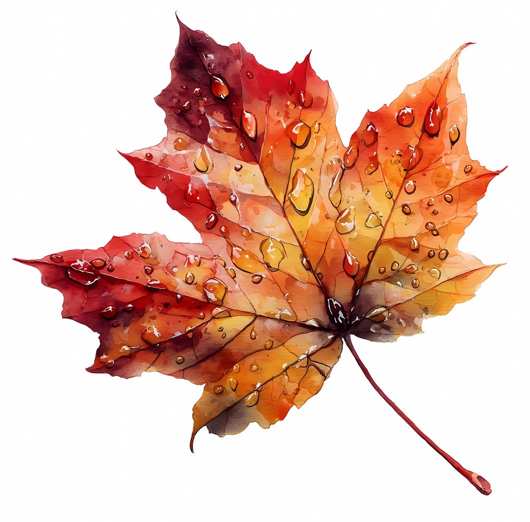 Watercolor Maple Leaf Clipart Bundle Set of 16 Autumn Glitter Leaves ...