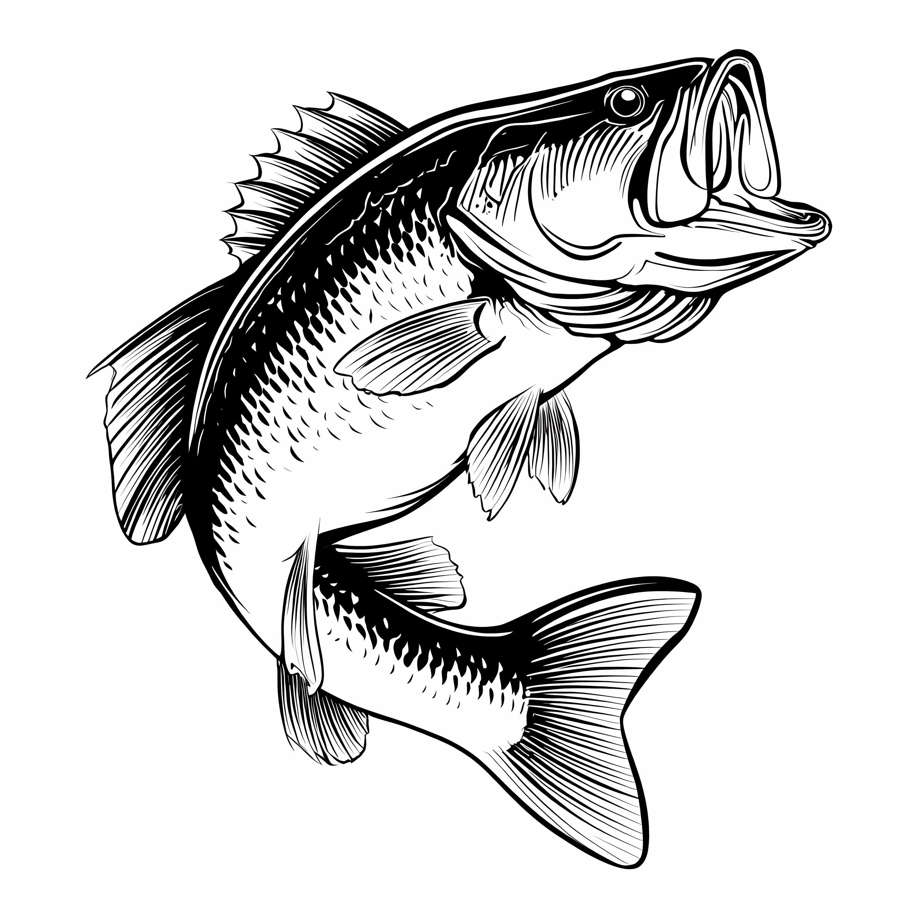 Vintage Fish Clipart Bundle: Retro Bass Line Art (PNG Digital Download ...