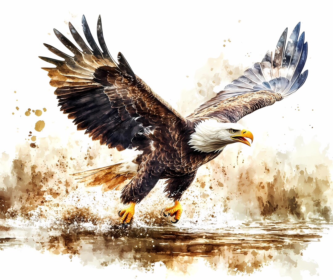 9 Eagle Clipart, Bald Eagle, Printable Eagle Watercolor Clipart, High Quality Pngs, Digital ...