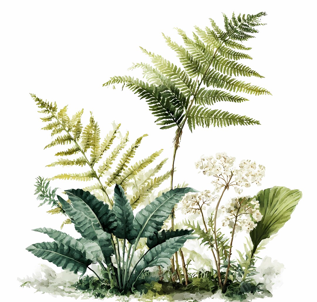 Watercolor Fern Botanical Clipart Bundle Set of 16 for DIY Projects and ...