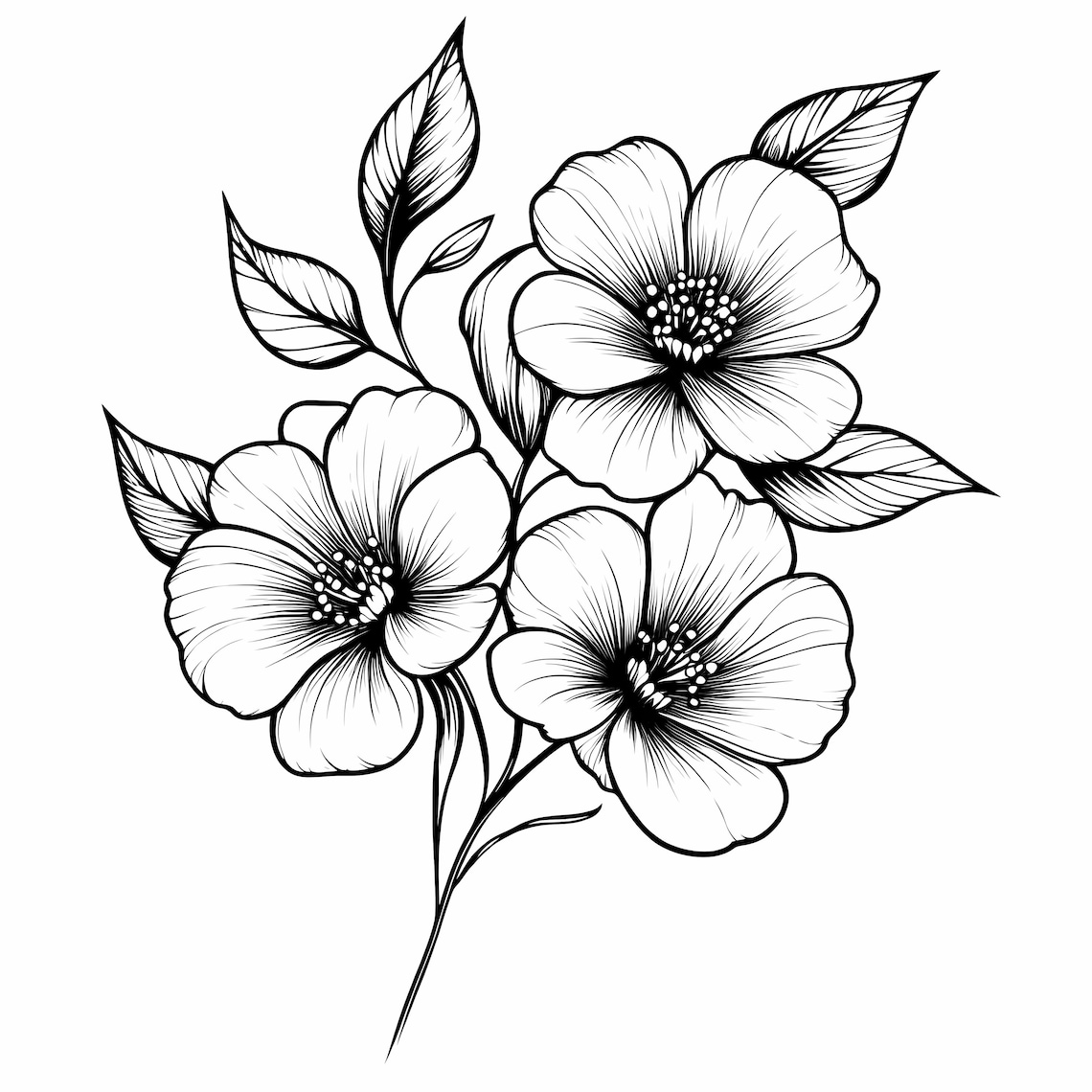 Floral Stem Clipart Bundle, Black and White Flower Line Art, Floral ...