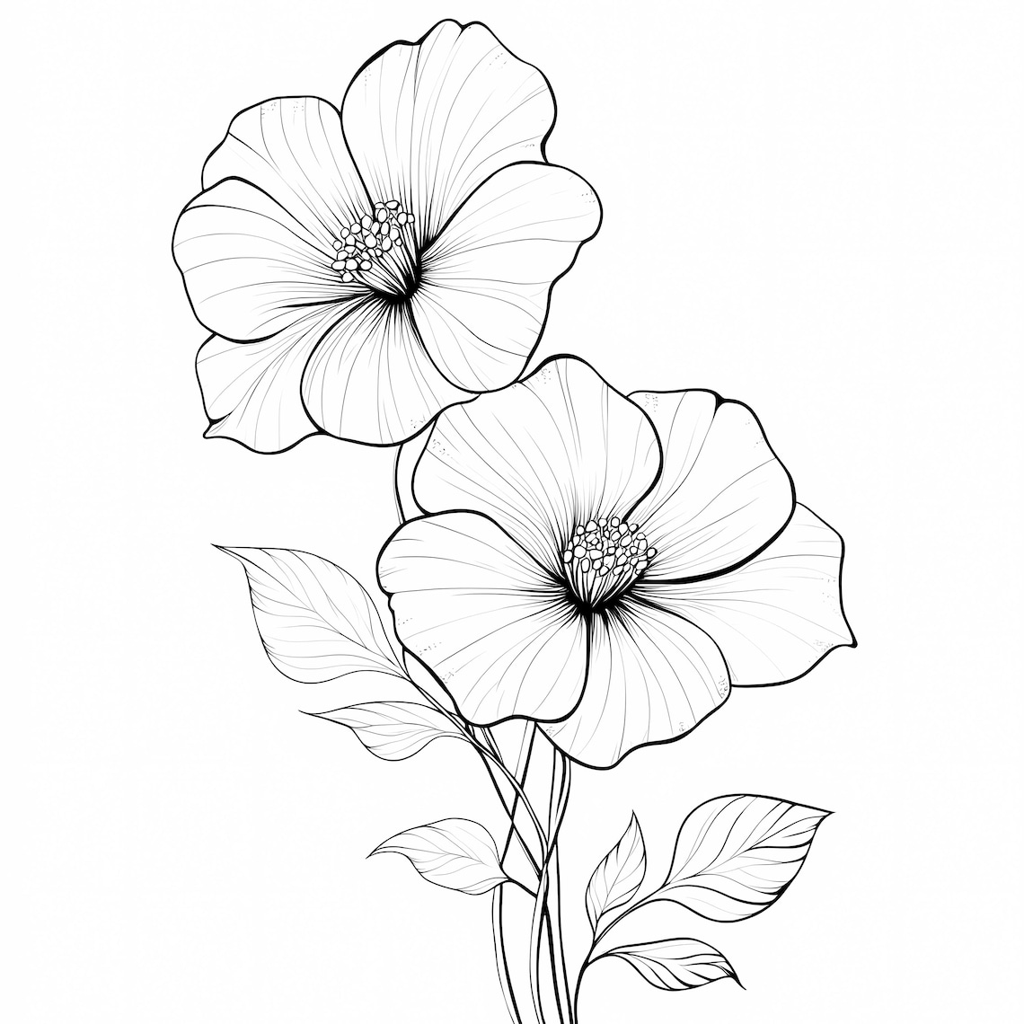 Floral Stem Clipart Bundle, Black and White Flower Line Art, Floral ...