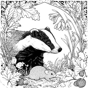 Woodland Badger and Mouse Coloring Page Bundle, Digital Download - Etsy