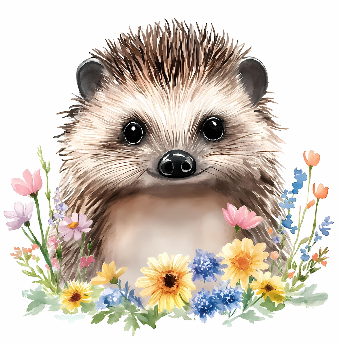 8 Cute Hedgehog Clipart, Printable Watercolor Hedgehog Clipart ...