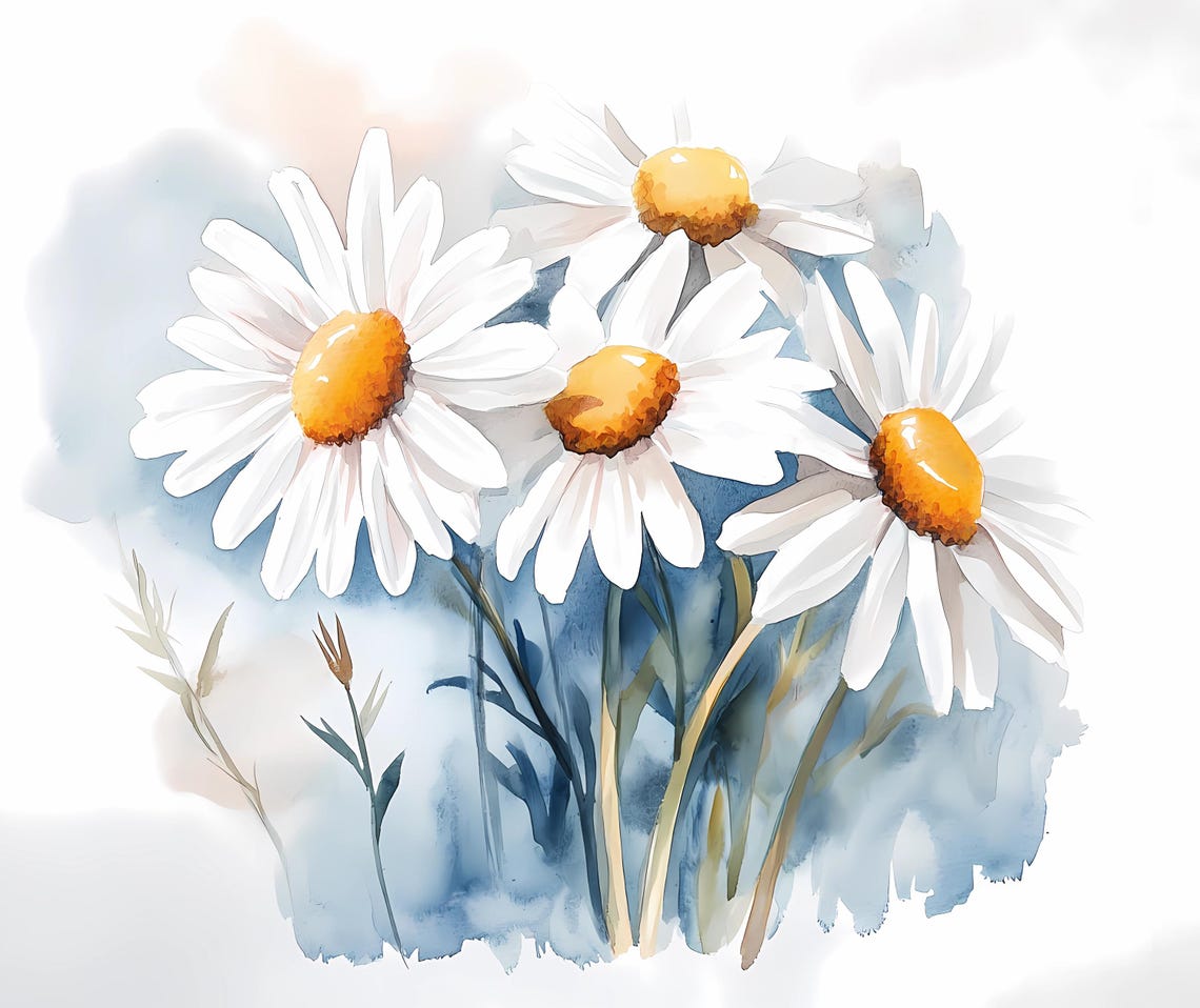 8 Daisies Bouquet Clipart, Daisy Clipart, Printable Daisy Watercolor ...