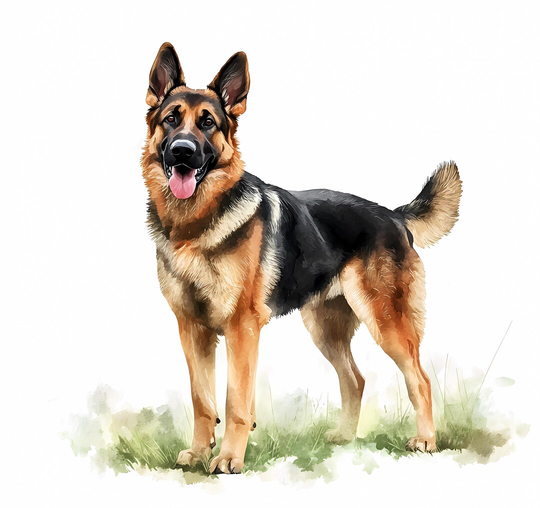 German Shepherd Clipart Set of 8, Shepherd Dog, Printable Watercolor ...