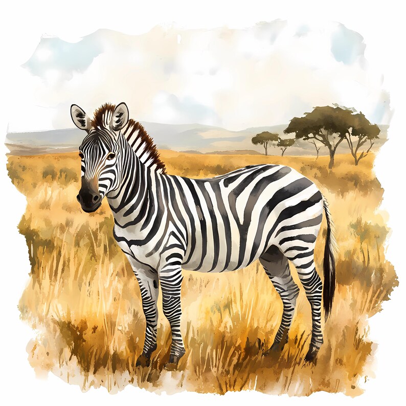 Watercolor Zebra Clipart Set, Wild Animal Art (digital Download) - Etsy