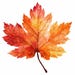 Watercolor Maple Leaf Clipart: Autumn Gold Glitter Leaves, PNG JPG ...