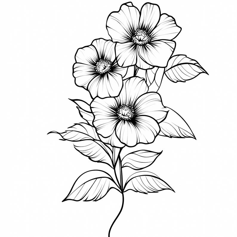 Floral Stem Clipart Bundle, Black and White Flower Line Art, Floral ...