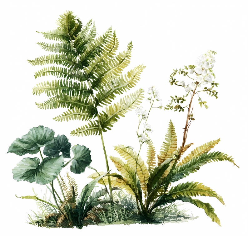 Watercolor Fern Botanical Clipart Bundle Set of 16 for DIY Projects and ...