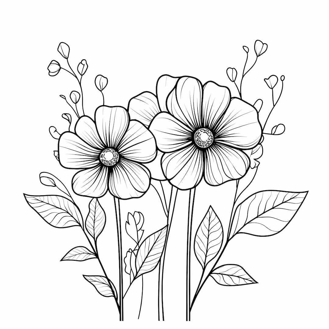 Floral Line Art Clipart Bundle: Black & White Flower Stems (PNG JPG) - Etsy