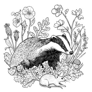 Woodland Badger and Mouse Coloring Page Bundle, Digital Download - Etsy