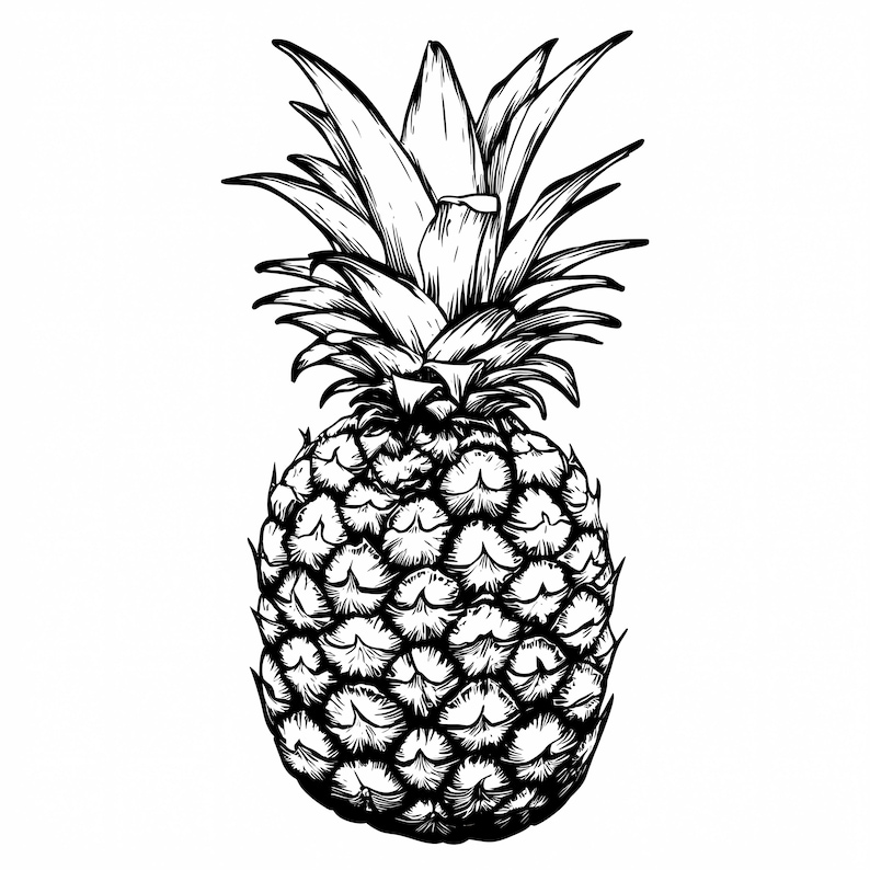 Pineapple Coloring Pages Printable, Tropical Silhouette Line Art Set ...