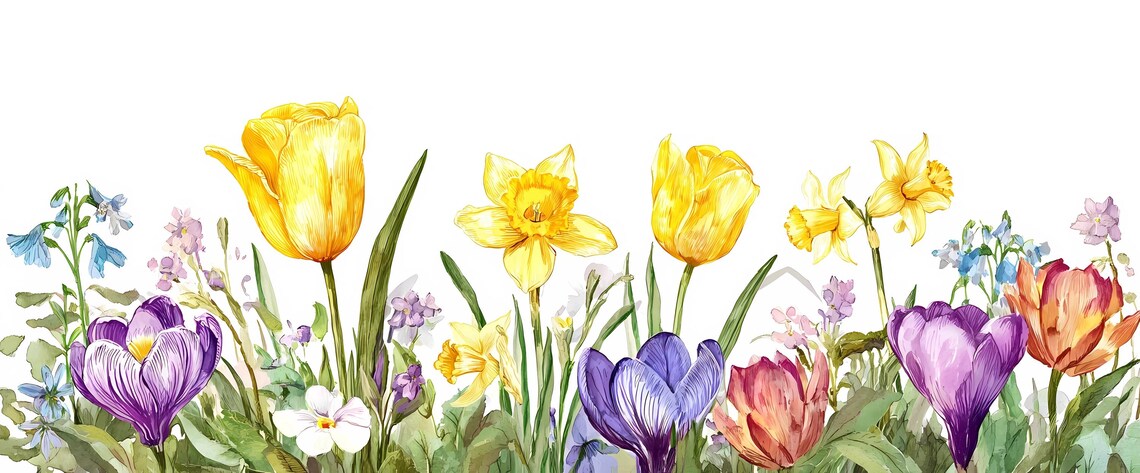 Watercolor Spring Flower Border Clipart PNG JPG, Floral Frame for ...