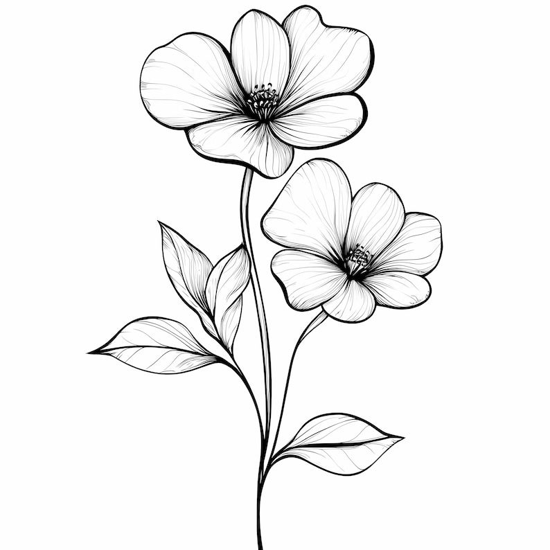 Floral Stem Line Art Clipart: Black and White Flower Bouquet (PNG JPG ...