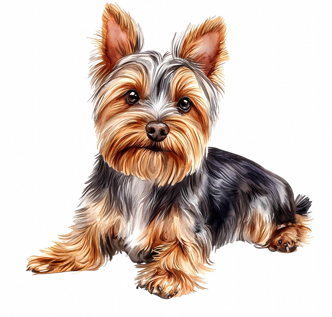 8 Yorkshire Terrier Clipart, Printable Yorkie Watercolor Clipart, High ...