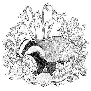 Woodland Badger and Mouse Coloring Page Bundle, Digital Download - Etsy