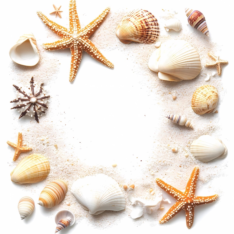Starfish and Seashells Frame PNG Bundle – 4 Beach Summer Border Clipart ...