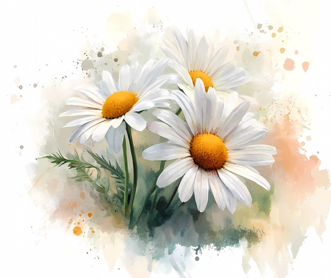 8 Daisies Bouquet Clipart, Daisy Clipart, Printable Daisy Watercolor ...