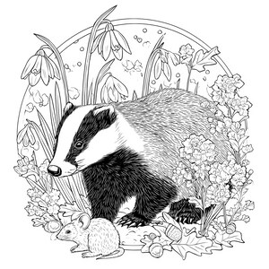 Woodland Badger and Mouse Coloring Page Bundle, Digital Download - Etsy