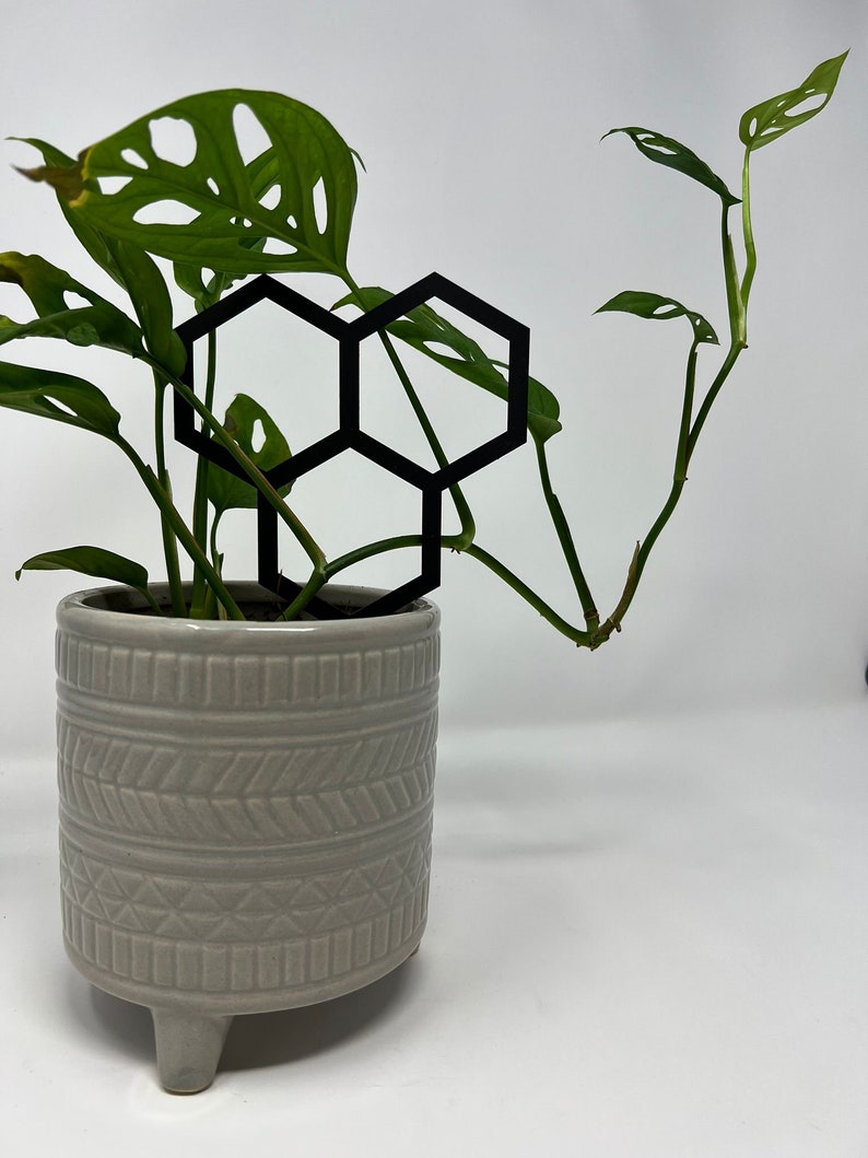 Hexagonal Plant Trellis - Etsy