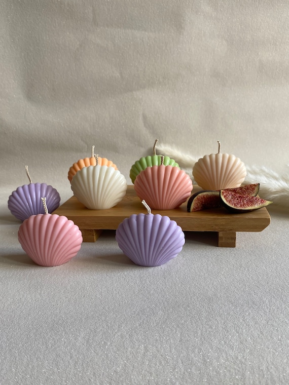 Shell Candles Sea Shell Candle Pastel Colour Candle Soy - Etsy