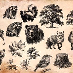 Woodland Animal Procreate Stamp Brushes, Procreate Brushes, Procreate ...