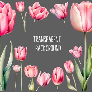 Pink Watercolor Tulip Cliparts, Tulip Clipart, Tulip Png, Watercolor ...